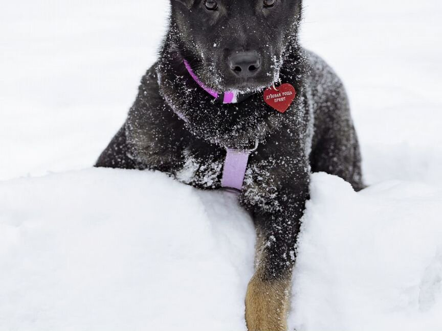 Маленькая радость ждет вас