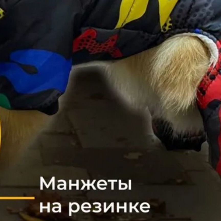 Одежда для собак мелких пород