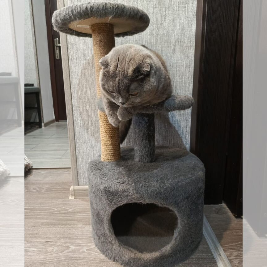 Когтеточка домик "PetTails" круглый с 2-мя полками