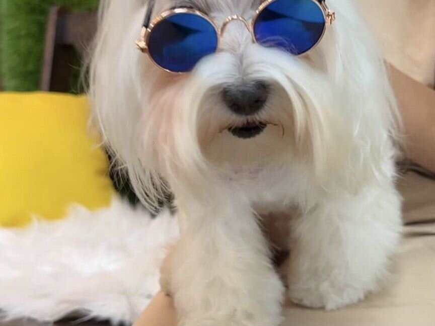 Ищем жениха