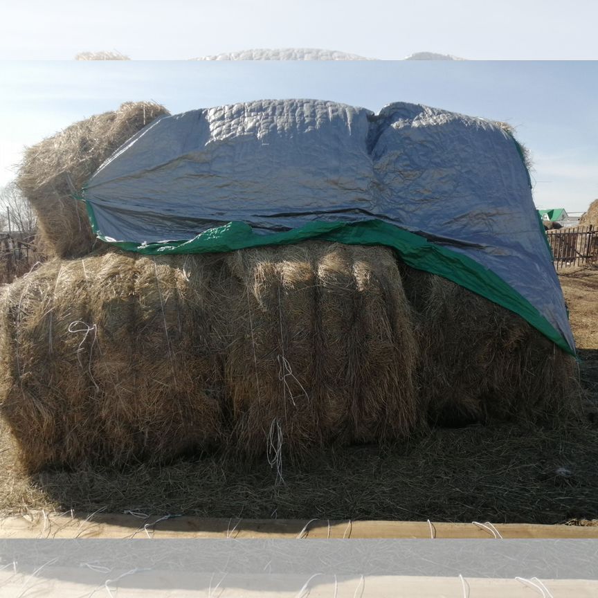 Продам сено в рулонах