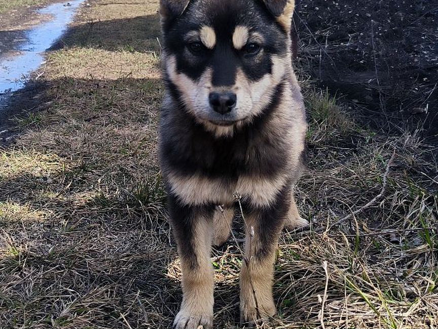 Хорошие мальчики