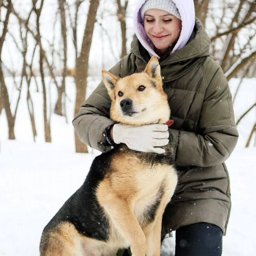 Феникс в поисках семьи