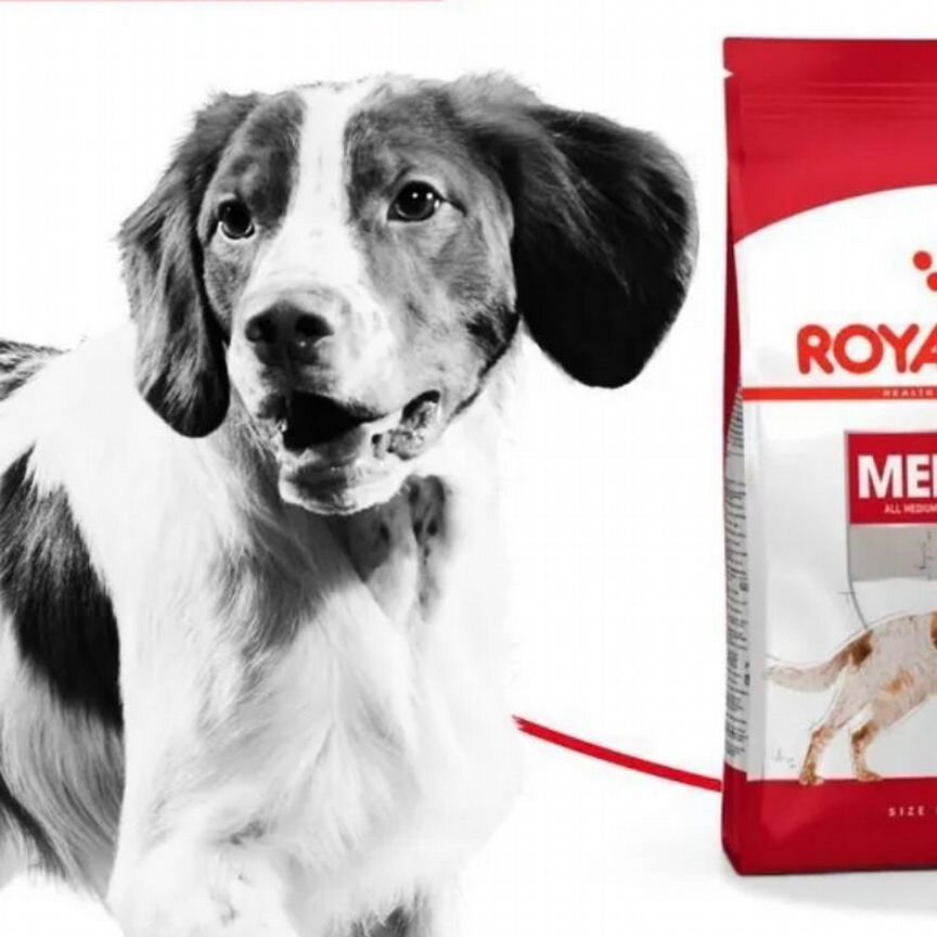 Корм для собак Royal Canin Medium 15кг