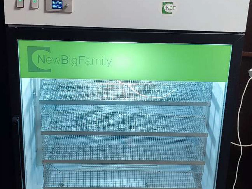 Инкубатор NBF 600