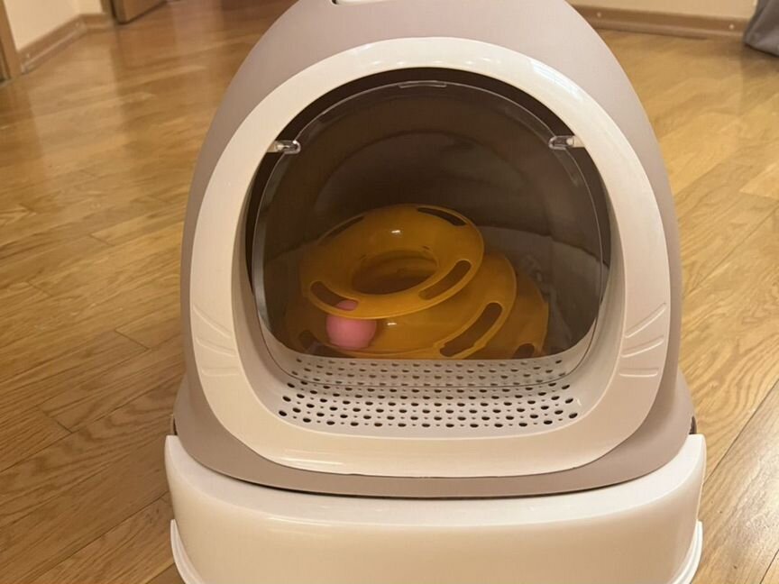 Кошачий туалет, переноска, корм, игрушки для кошки