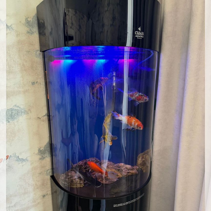 Акриловый аквариум