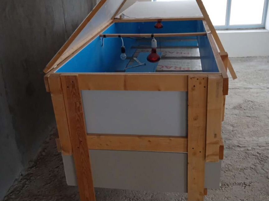 Брудер для цыплят