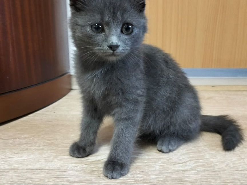 Очаровательный малыш