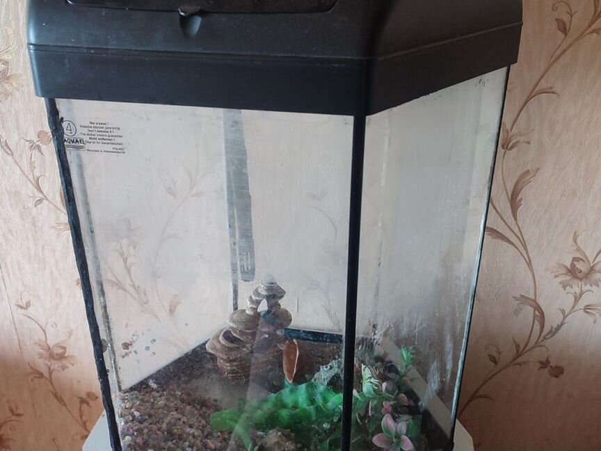 Аквариум б/у