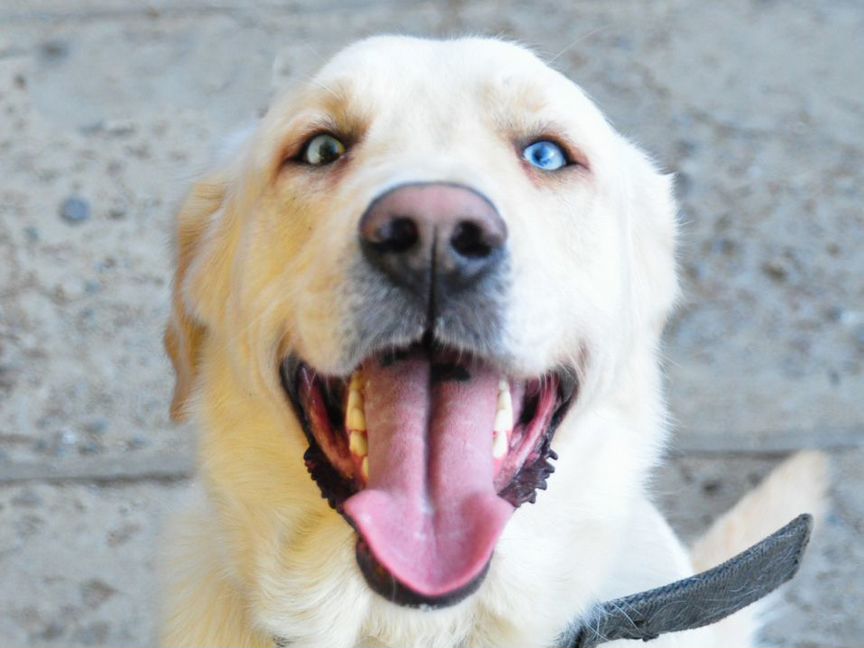 Эрик ждёт своего человека