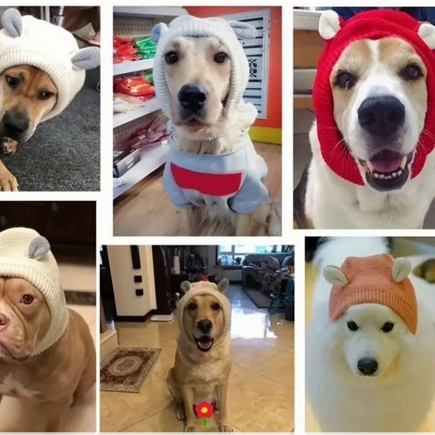 Шапка для крупных собак теплая новая