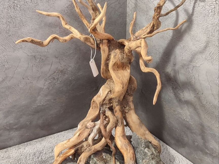 Коряги