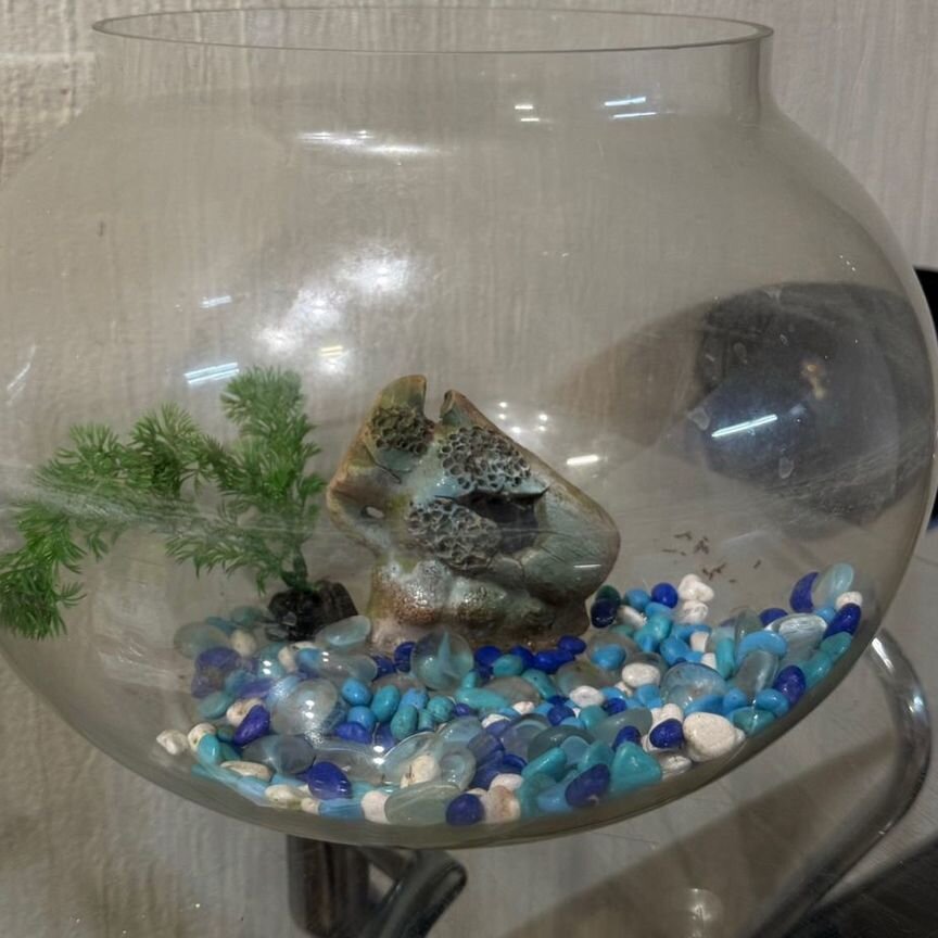 Аквариум круглый 18 литров с наполнением