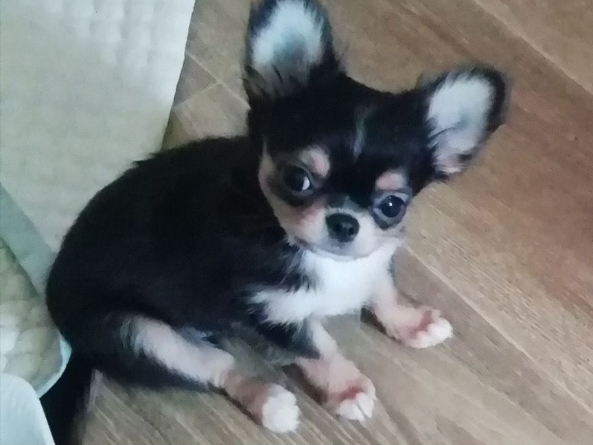 Супер мини паренек