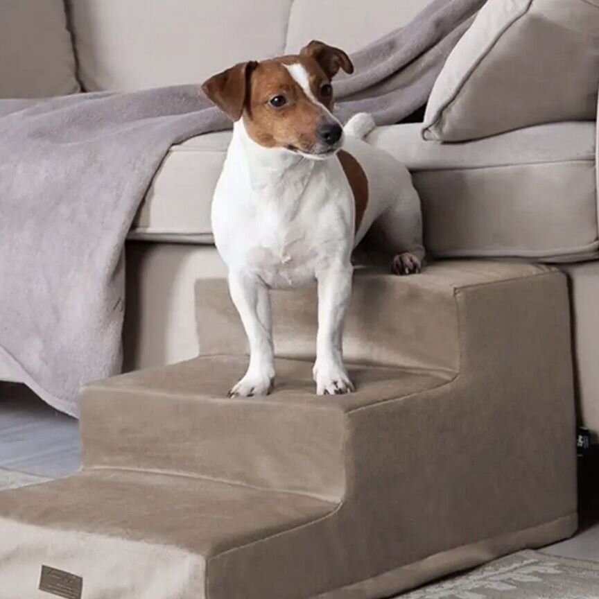 Прикроватная лестница для собак