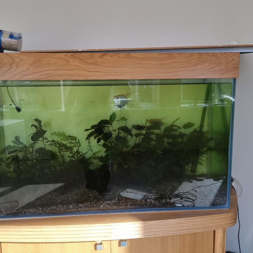 Аквариум с тумбой бу