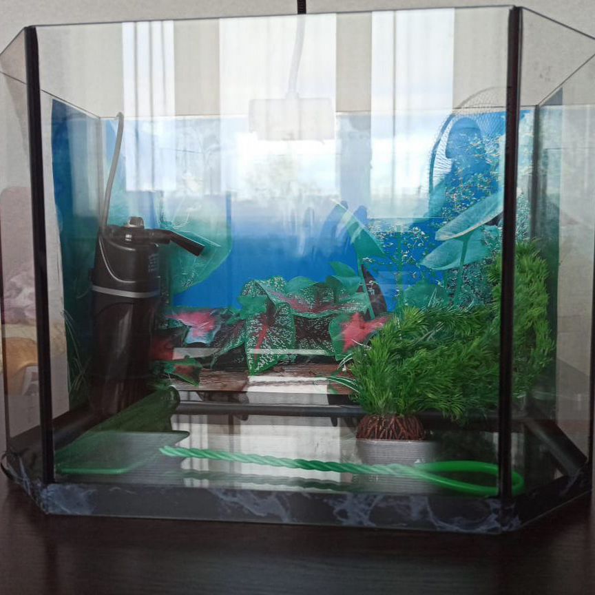 Аквариум, caчok,фильтр аquaеl, лампа