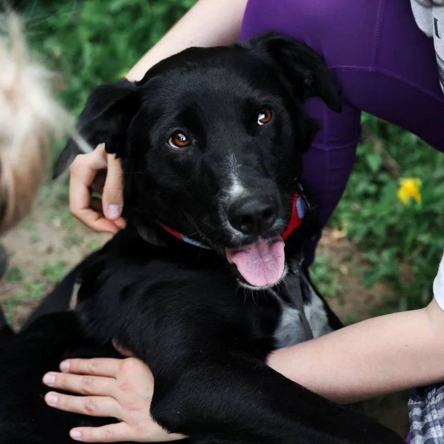 Молодая мамочка 7 ангелочков ищет дом