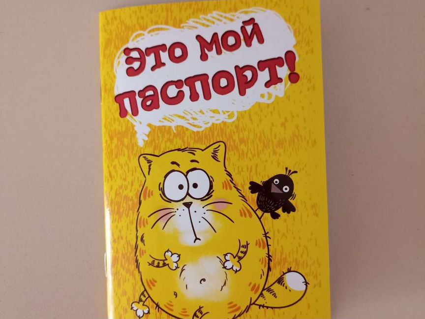 Паспорт для кота