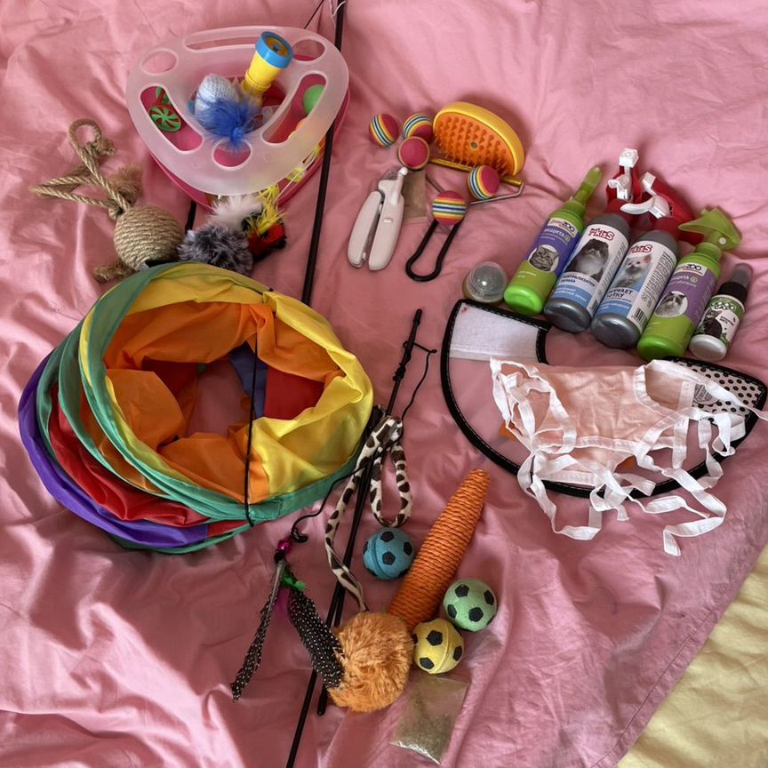 Игрушки для кошек пакетов, уход и здоровье