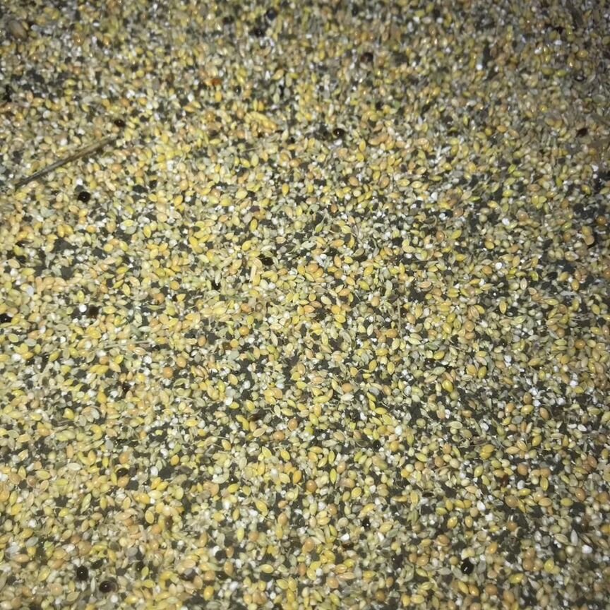 Отходы просо