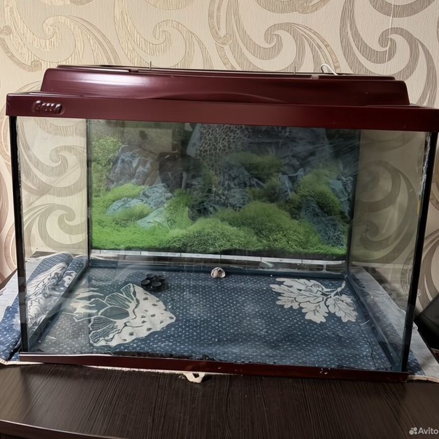 Аквариум