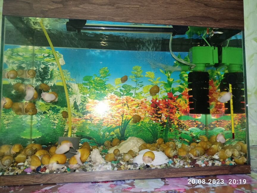 Аквариум 50 литров