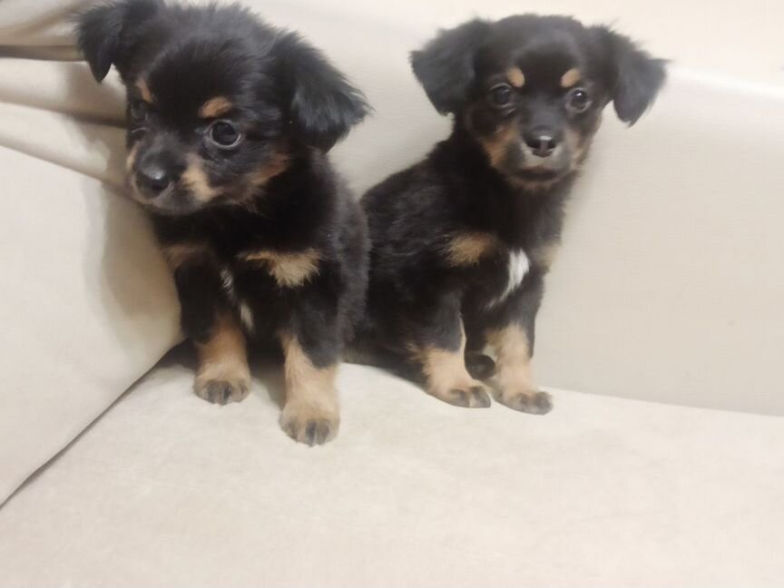 Будут маленькими