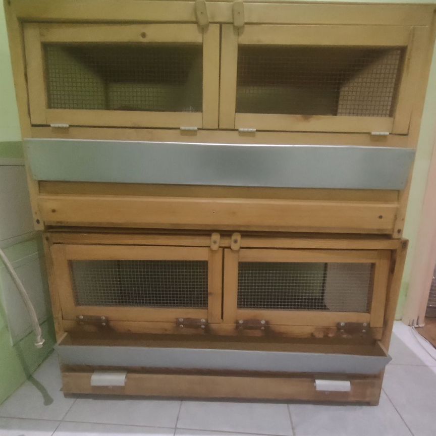 Брудер для цыплят