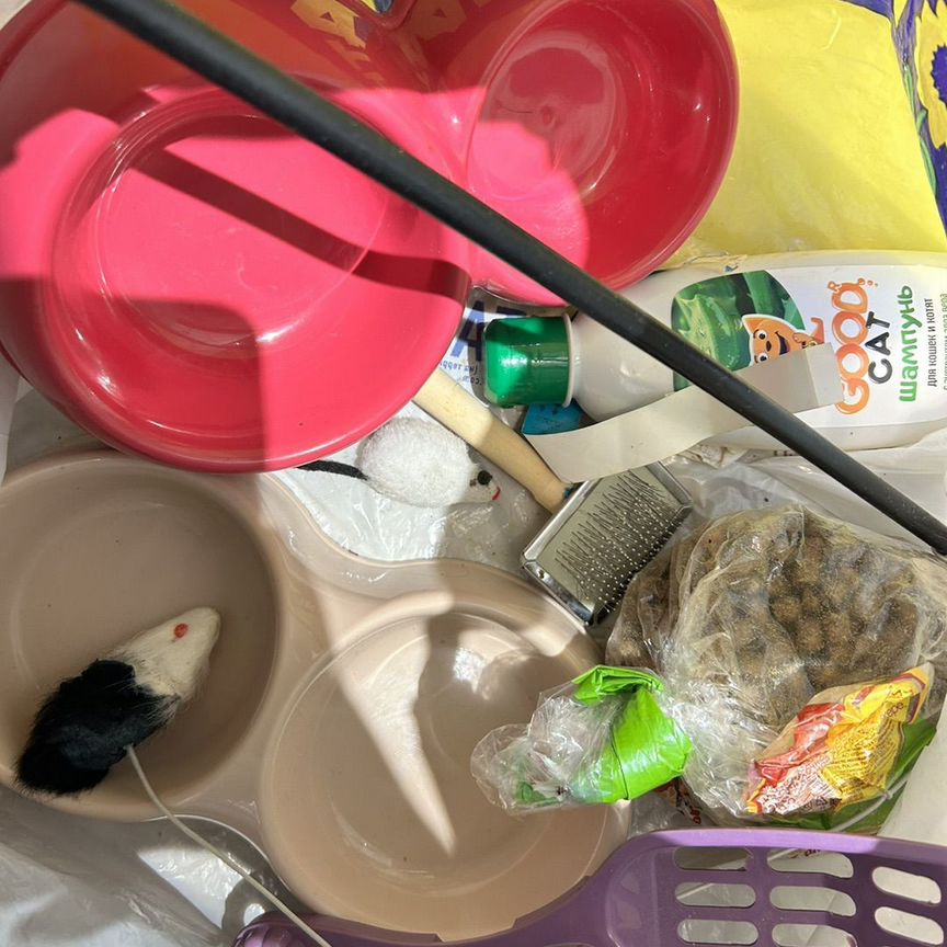 Отдам за шоколадку