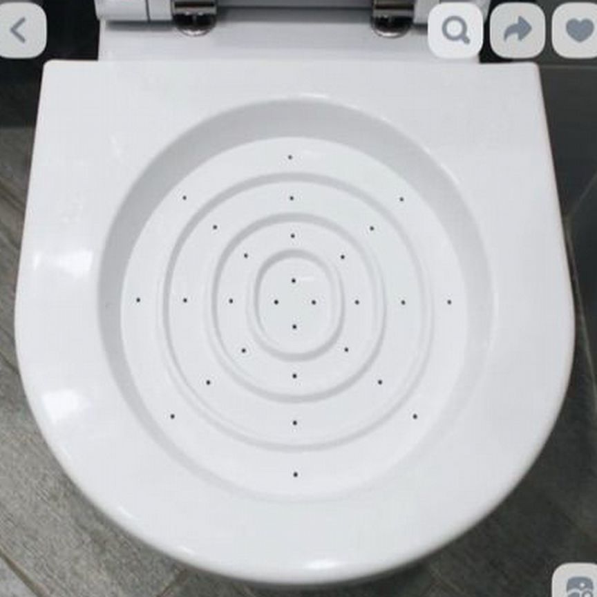 Система приучения кошек к унитазу