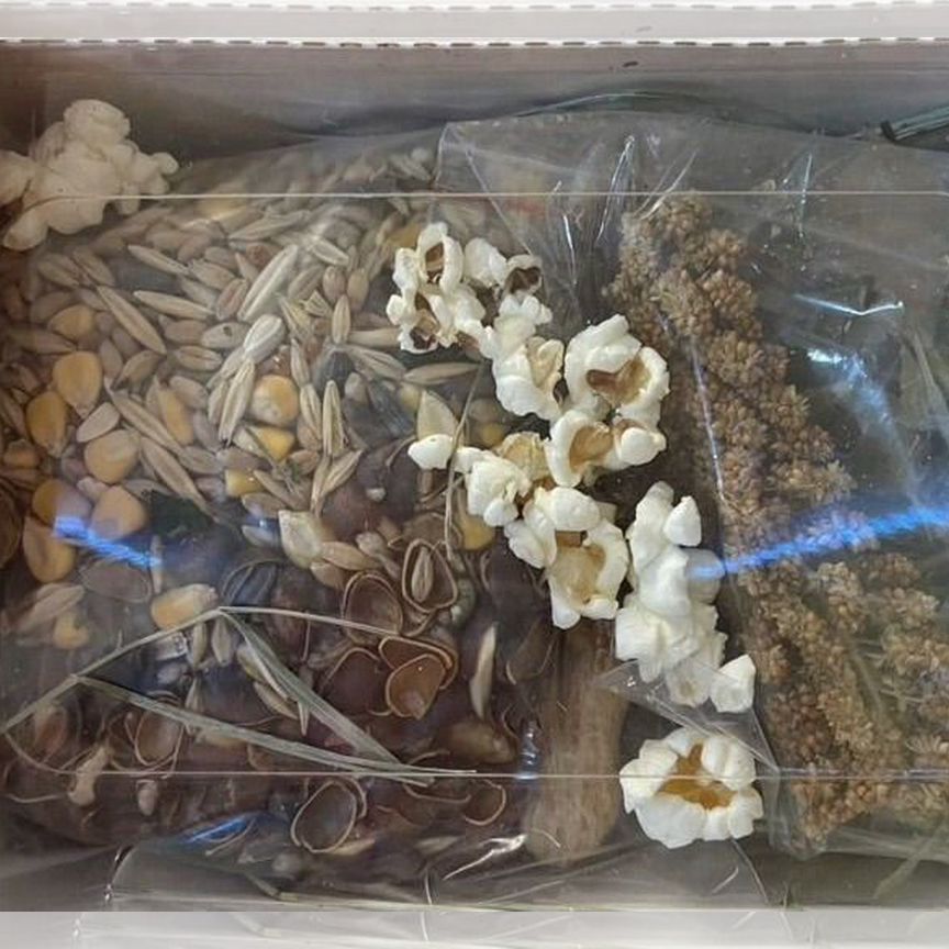 Копошилка для попугаев