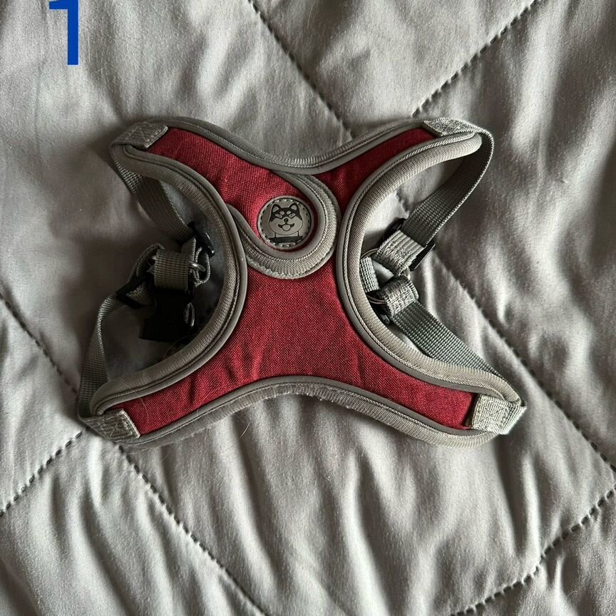 Шлейки для собак