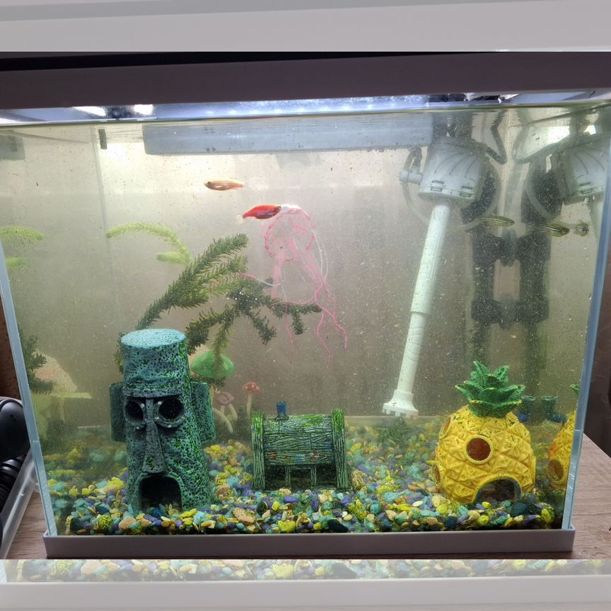 Умный аквариум с рыбками