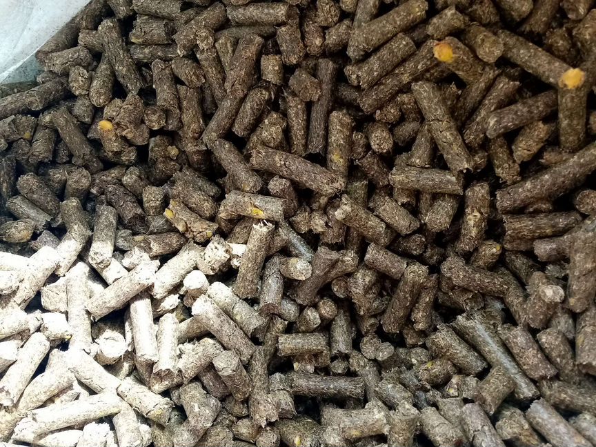 Гранула люцерны