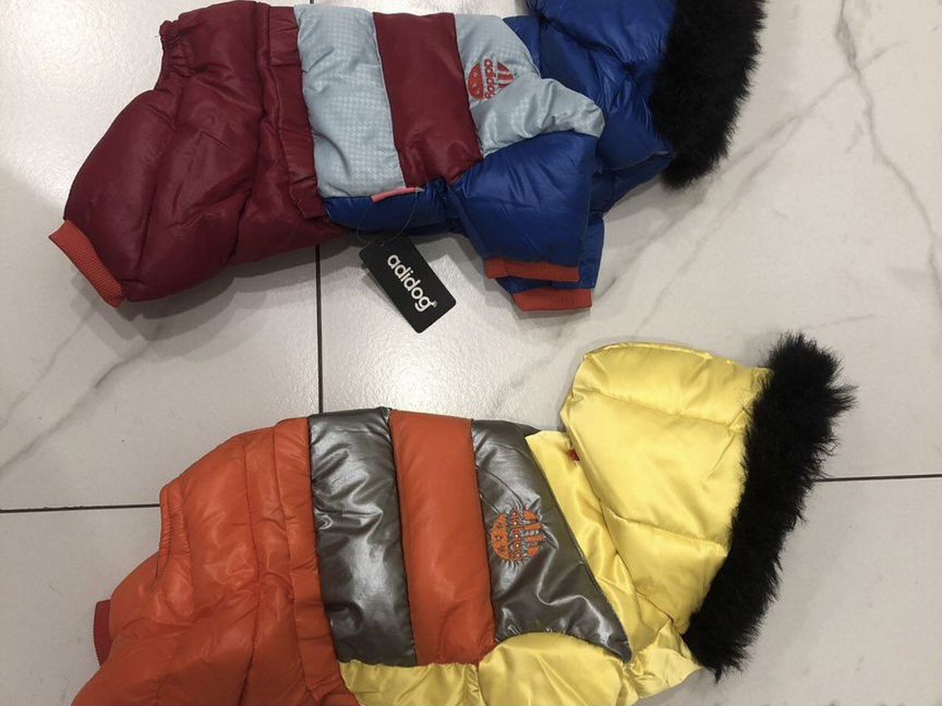 Зимняя одежда для собак