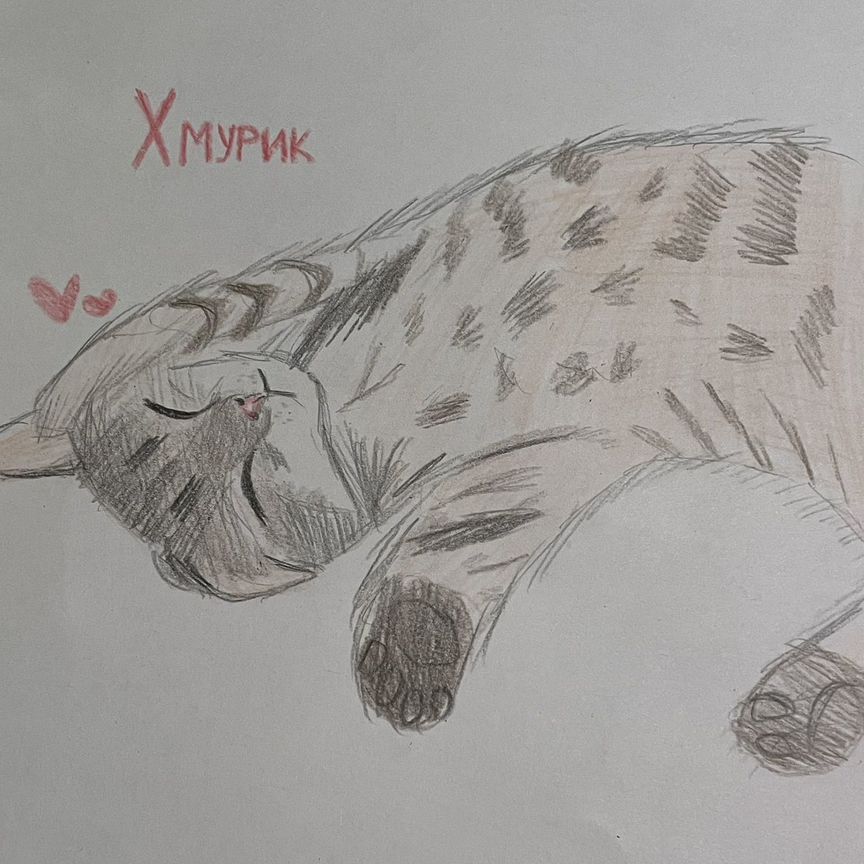 Рисую ваших питомцев