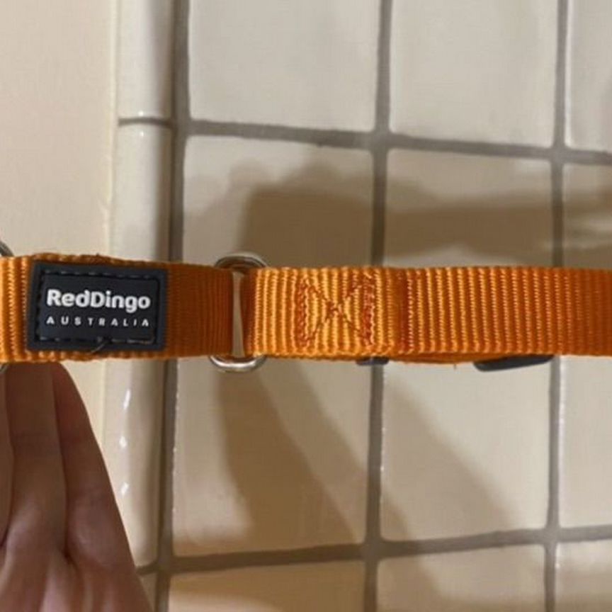 Ошейник мартингейл RedDingo