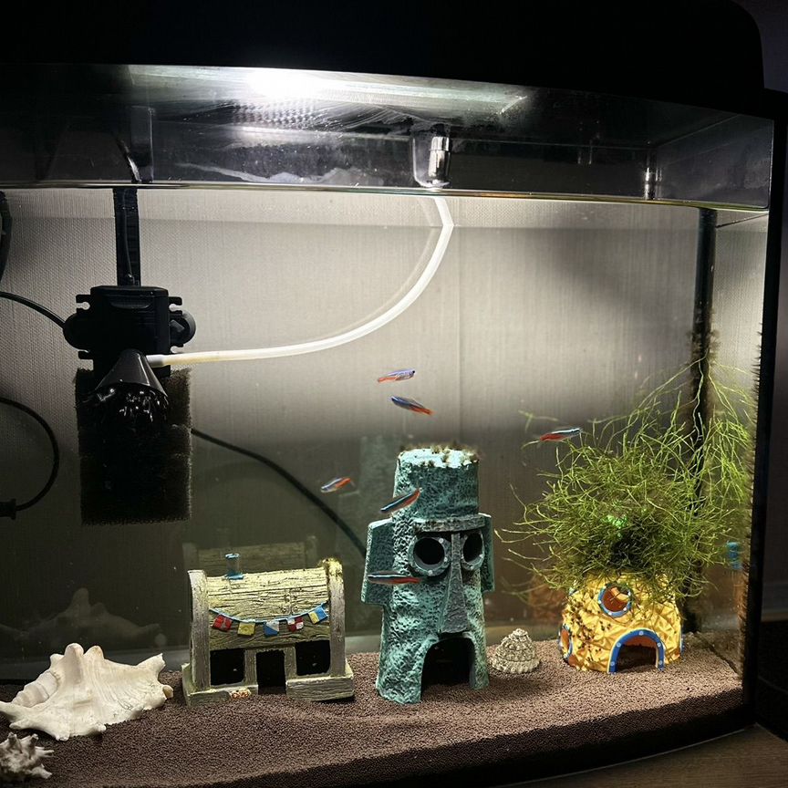 Аквариум с рыбками