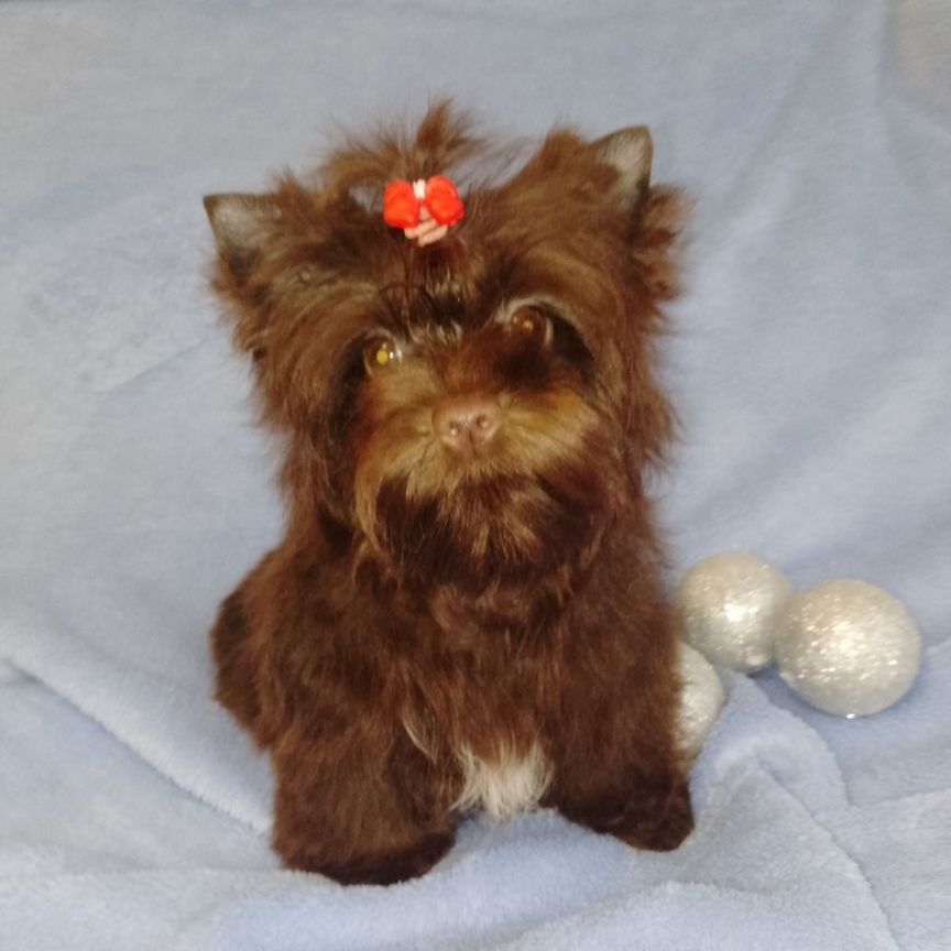 Малышка Пуговка