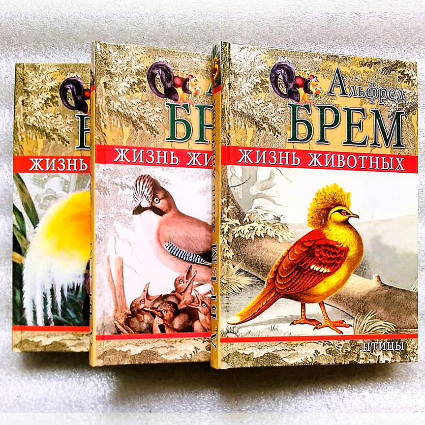 Птицы. Жизнь животных Альфред Брем