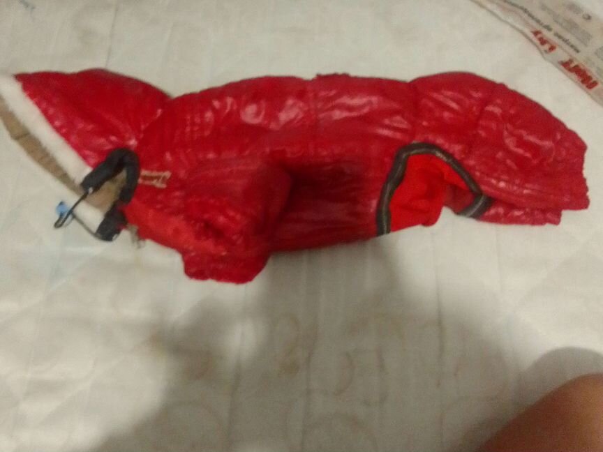 Товары для животных собак