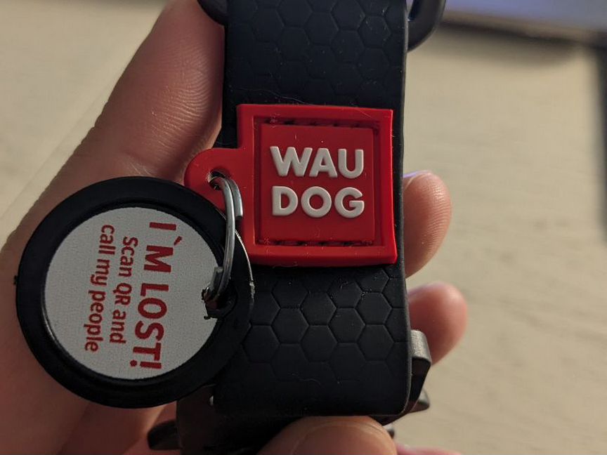 Ошейник waudog (размер М)