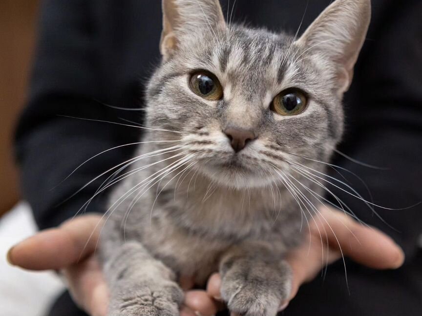 Соню никто не замечает