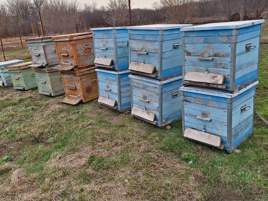 Ульи для пчел Дадан