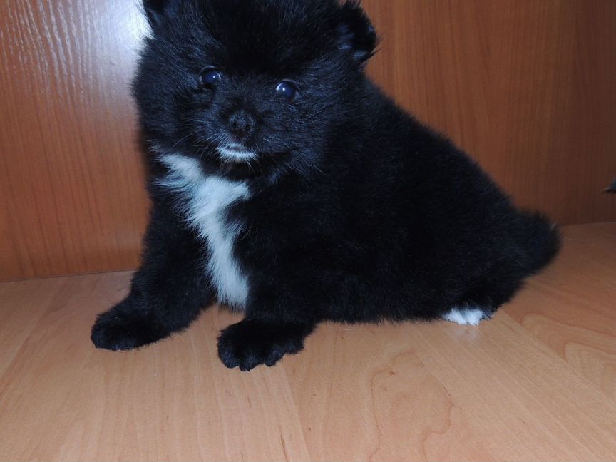 Нарядная цыганочка