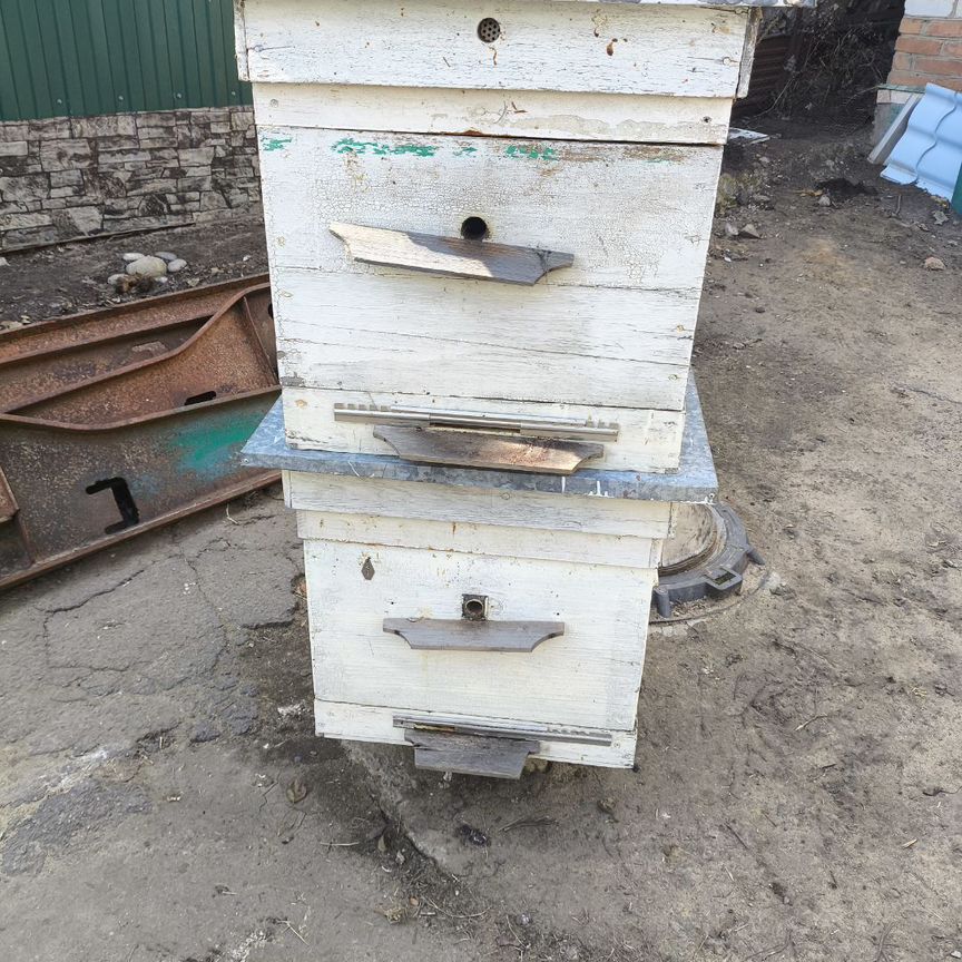 Ульи для пчел бу дадановские