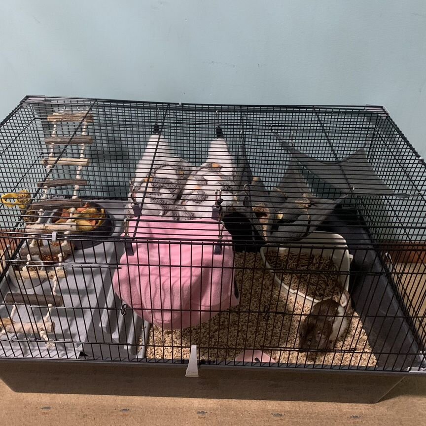 Клетка для грызунов