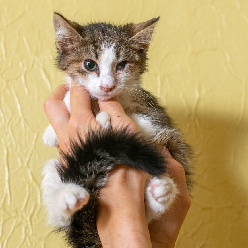 Малыша Марселя никто не хочет